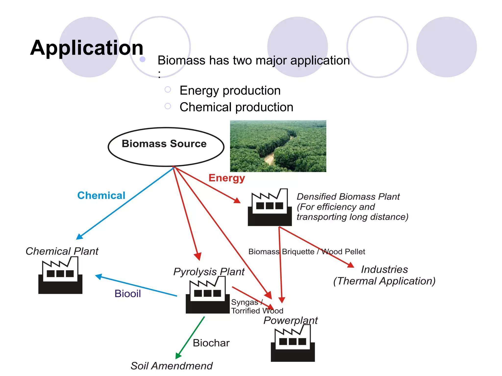 Biomass utilization | PDF