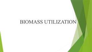 Biomass Utilization.pptx