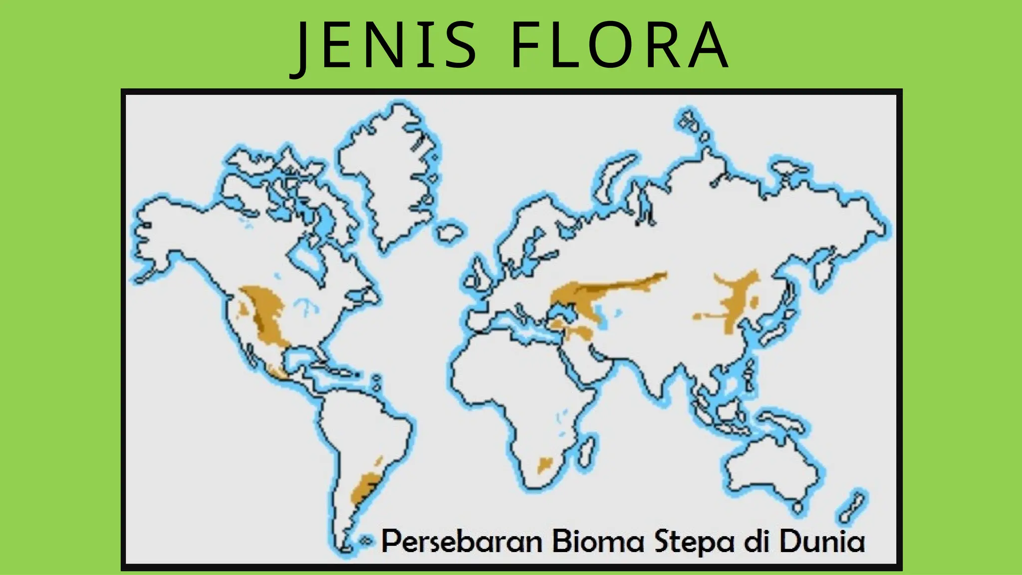 Bioma Stepa Persebaran Flora di Dunia XI | PPT