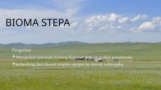 Bioma Stepa Persebaran Flora di Dunia XI | PPT
