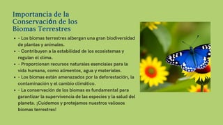 Biomas terrestres- Chat GPT + Canva - 9 Julio 2023 | PDF