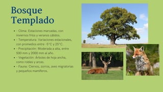 Biomas terrestres- Chat GPT + Canva - 9 Julio 2023 | PDF