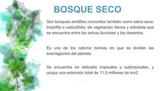 Biomas terrestres | PPT