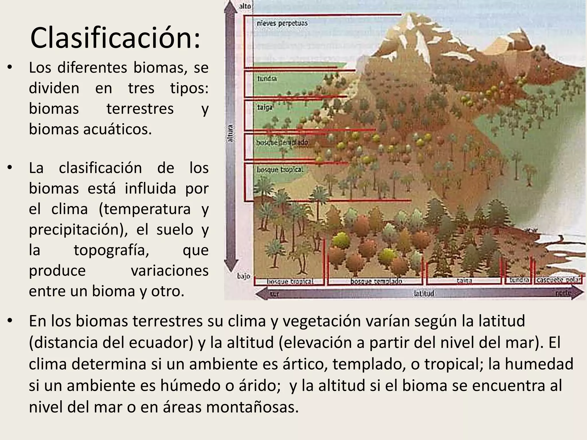 Biomas terrestres | PPT