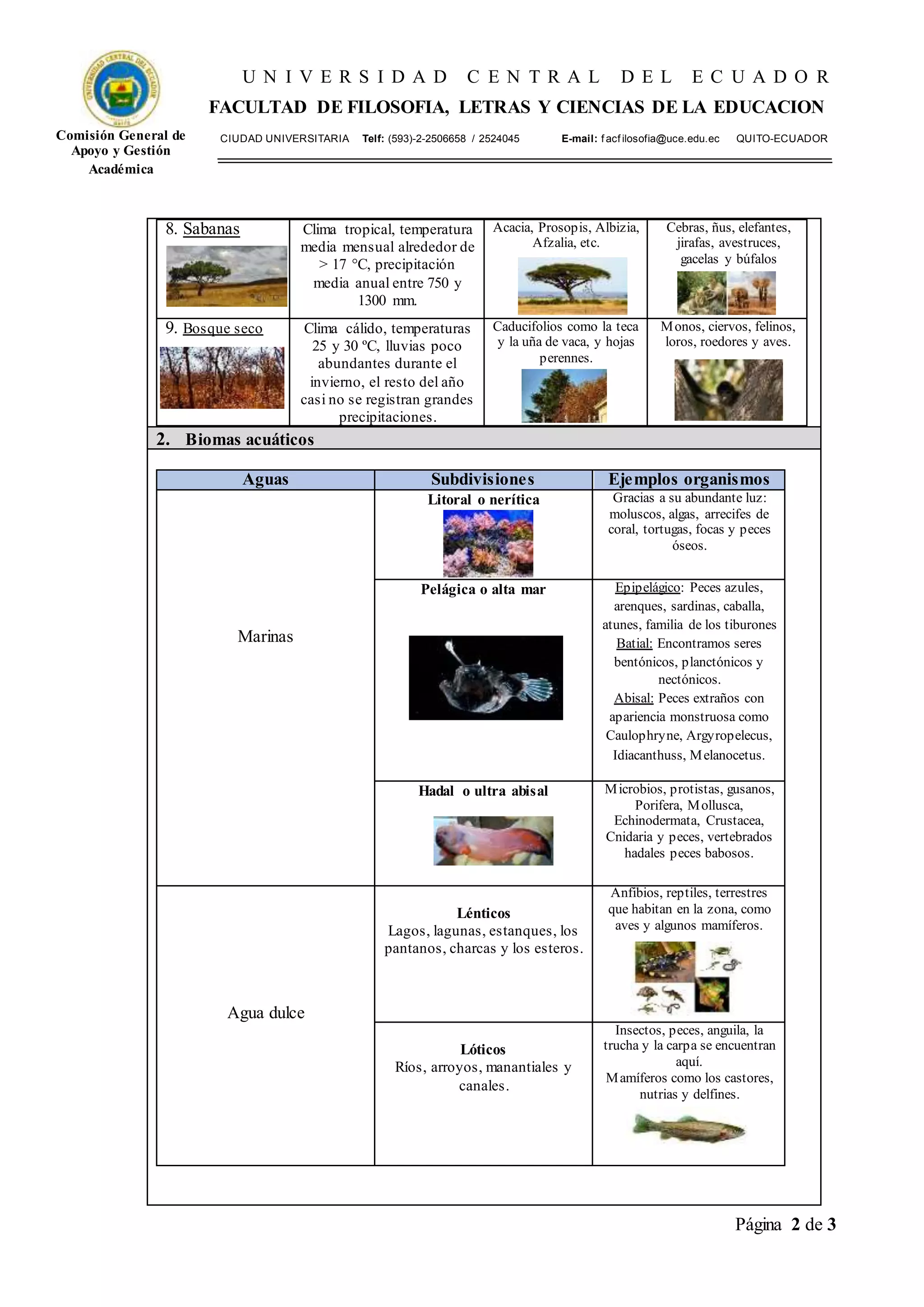 Clasificación de biomas sintetizados | DOCX