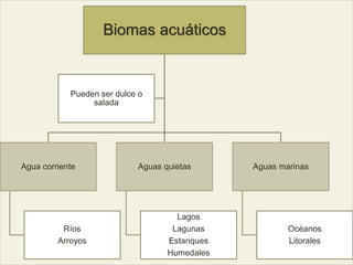 BIOMAS TERRESTRES Y ACUATICOS.pptx