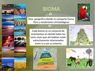 Hoja De Trabajo Sobre Biomas #voiceeffects | TikTok