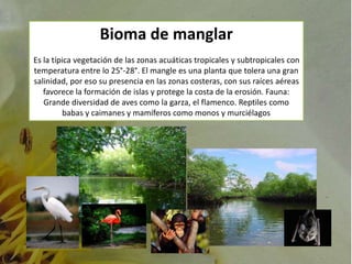 Biomas trabajo final | PPTX