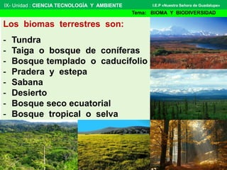 Biomas y biosfera | PPTX
