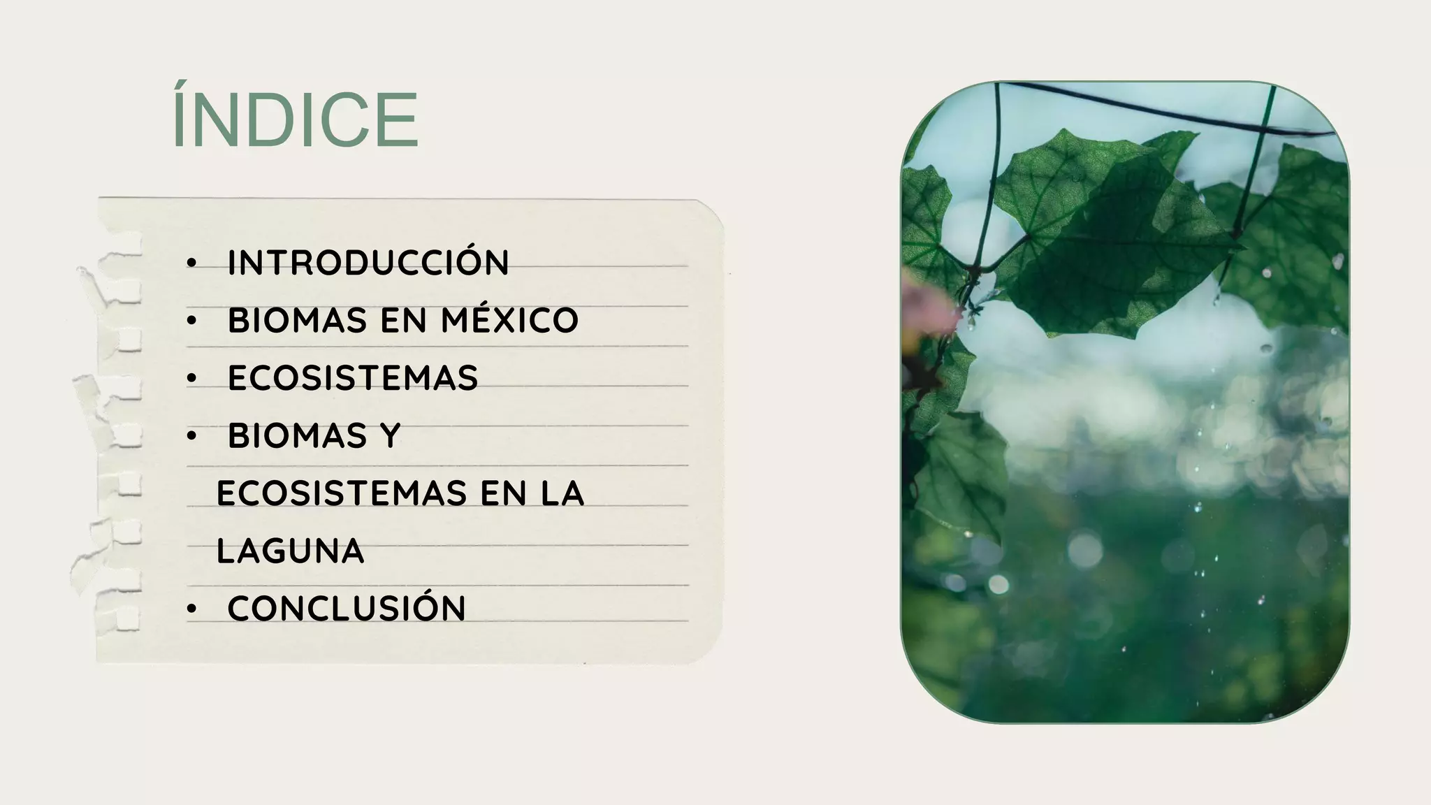 biomas y ecosistemas en Mexico .pptx
