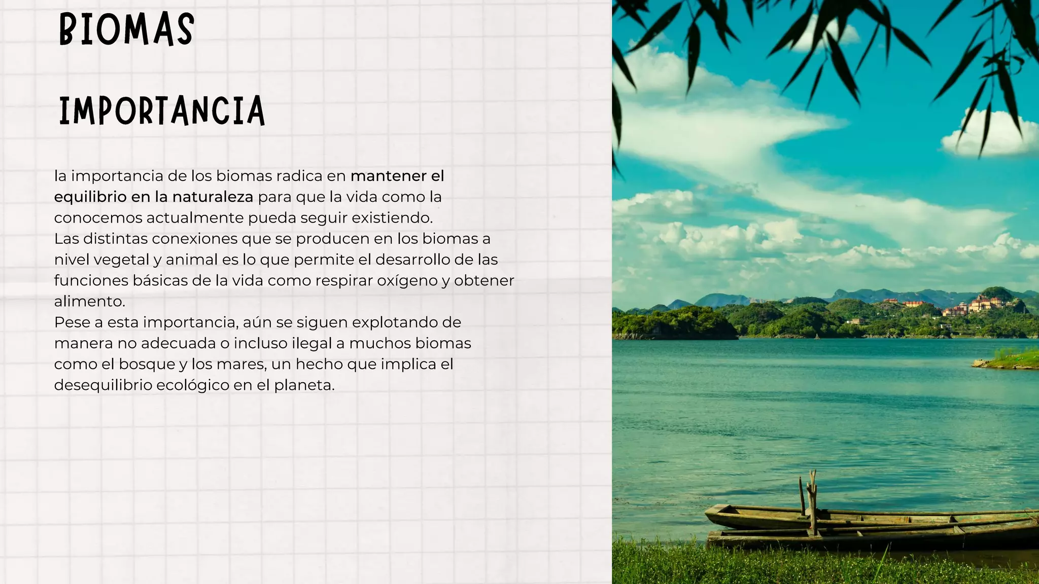 biomas y ecosistemas en Mexico .pptx