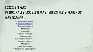 biomas y ecosistemas en Mexico .pptx