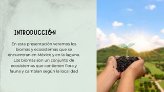 biomas y ecosistemas en Mexico .pptx
