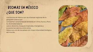 biomas y ecosistemas en Mexico .pptx