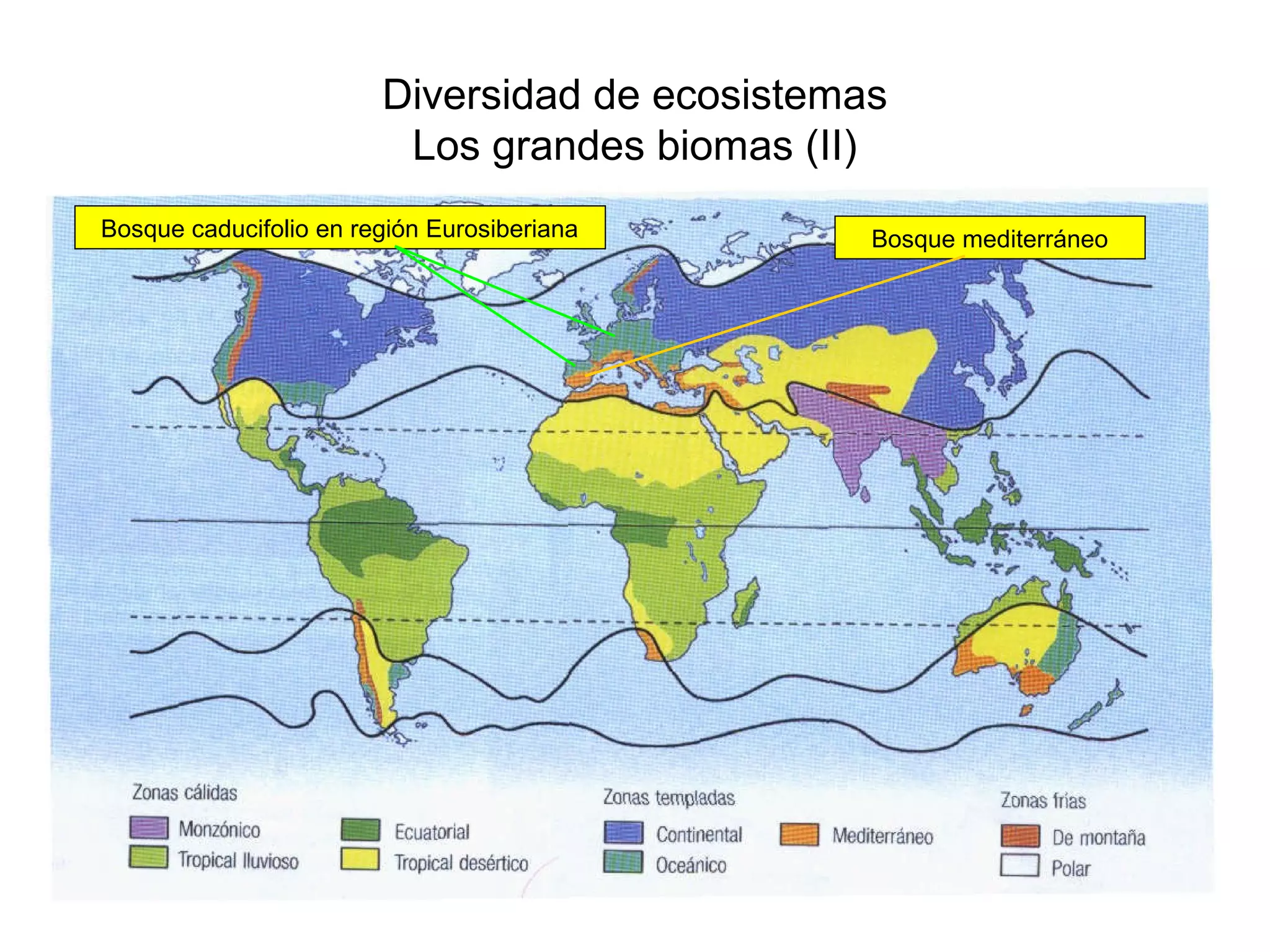Biomas y ecosistemas españoles | PPT