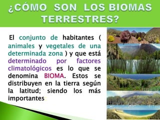 Biomas y ecosistemas terrestres del perú | PPTX