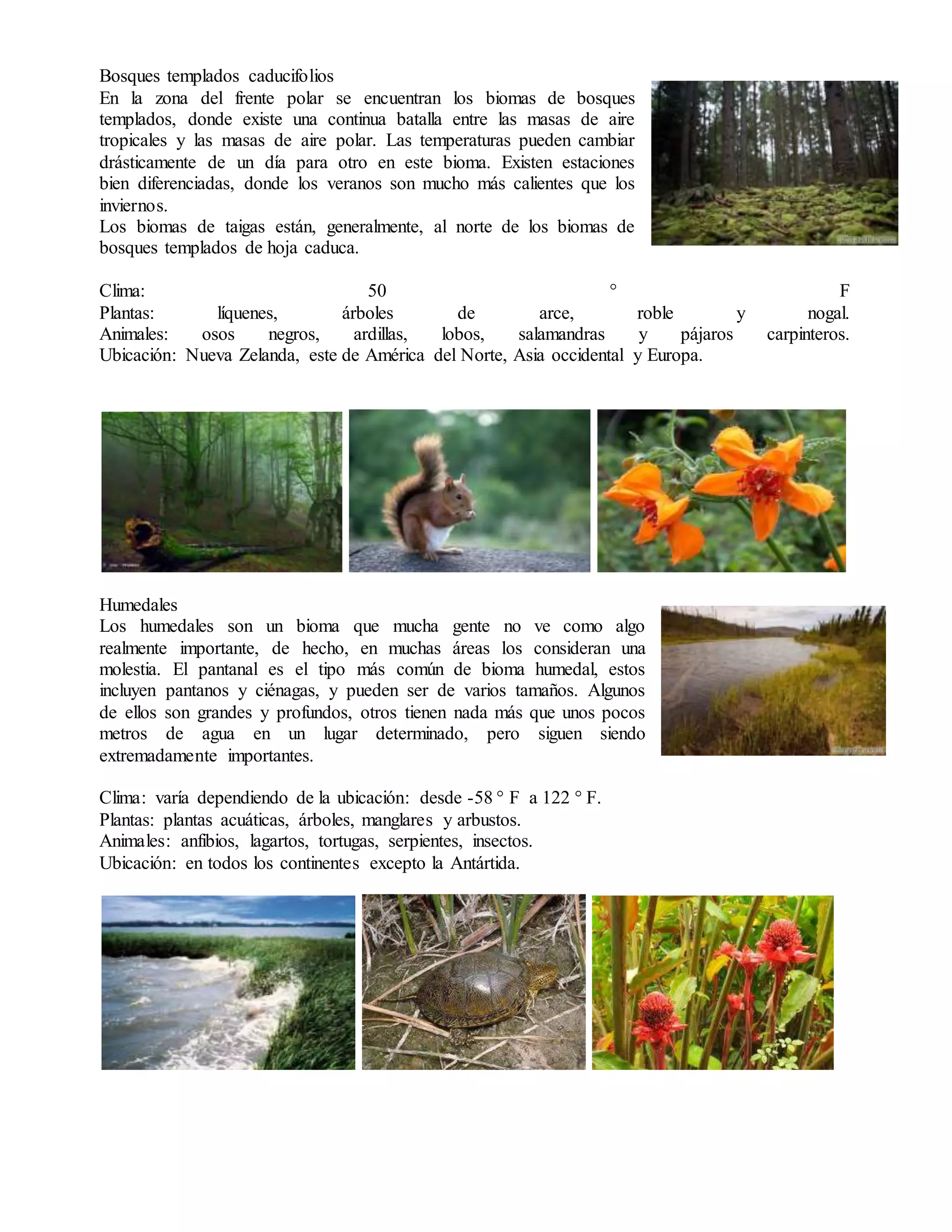 Biomas y sus ecosistemas | DOCX
