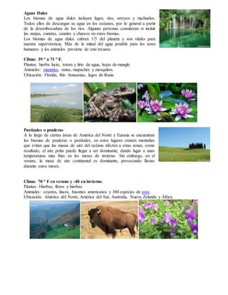 Biomas y sus ecosistemas | DOCX
