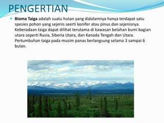 Bioma Taiga | PPT