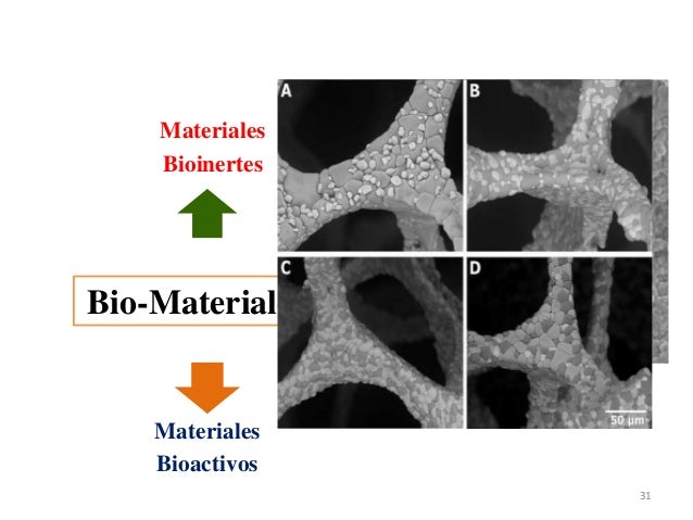 Biomateriales y sus aplicaciones