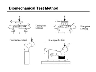 Mechanics of Biomaterials | PPT