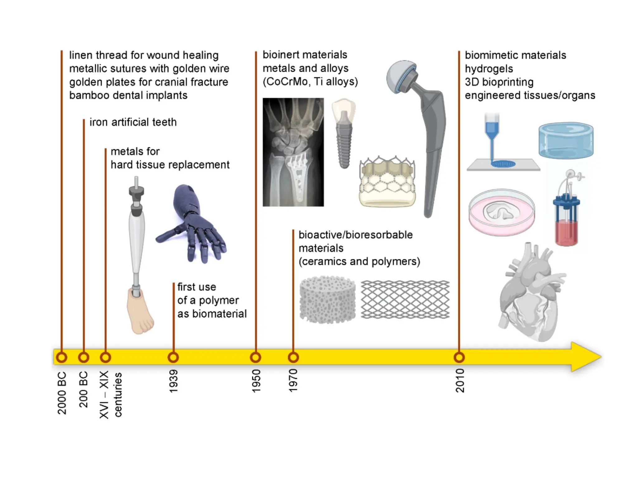 different types of Bio materials and thier uses .pptx