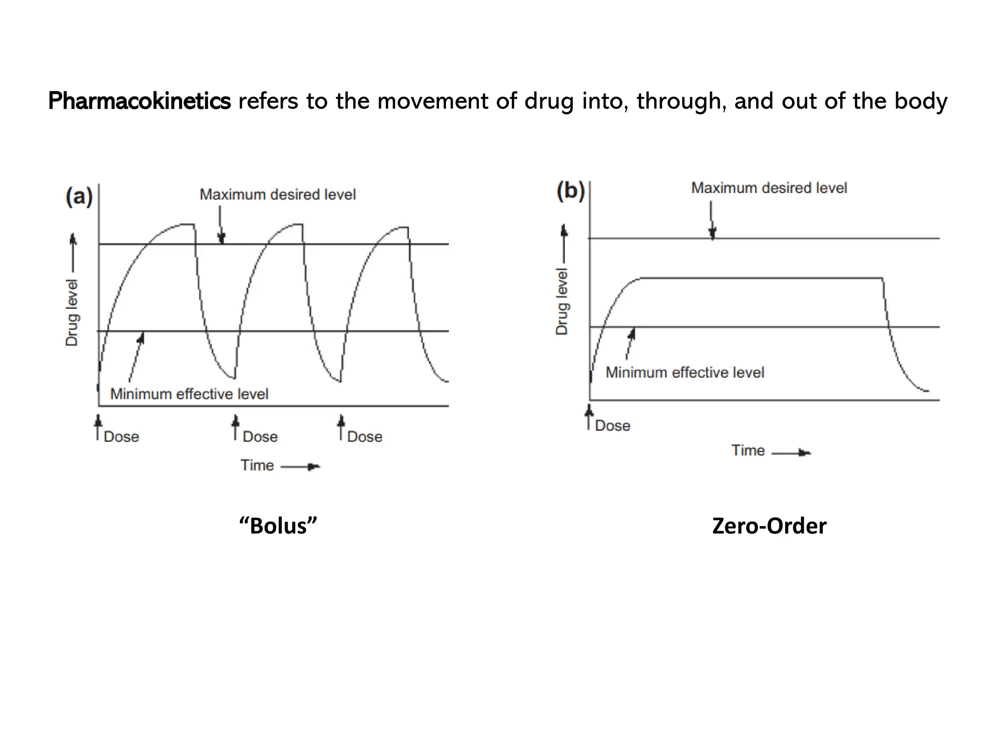 Biomaterials for DDS (Intro and Types)+d Discussion-upload slide share.pdf | Free Download