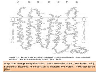 Biomaterials for photonics | PPTX