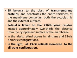Biomaterials for photonics | PPTX