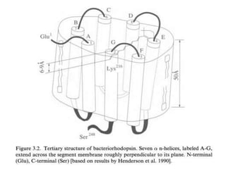 Biomaterials for photonics | PPTX