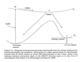 Biomaterials for photonics | PPTX