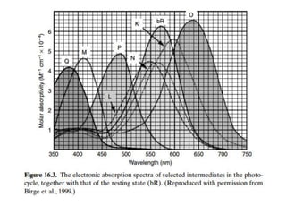 Biomaterials for photonics | PPTX