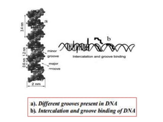 Biomaterials for photonics | PPTX