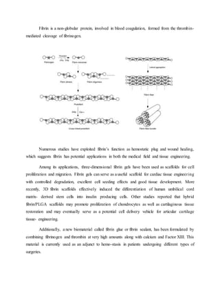 Biomaterials for tissue engineering | DOCX