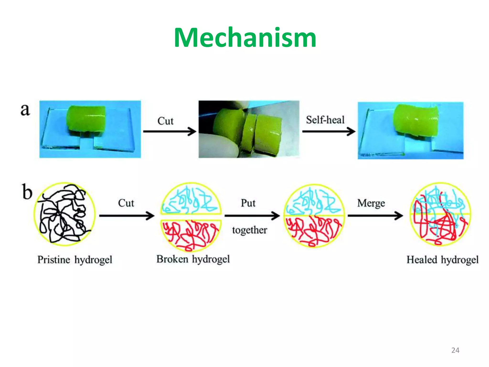 Introduction to Biomaterials | PPTX