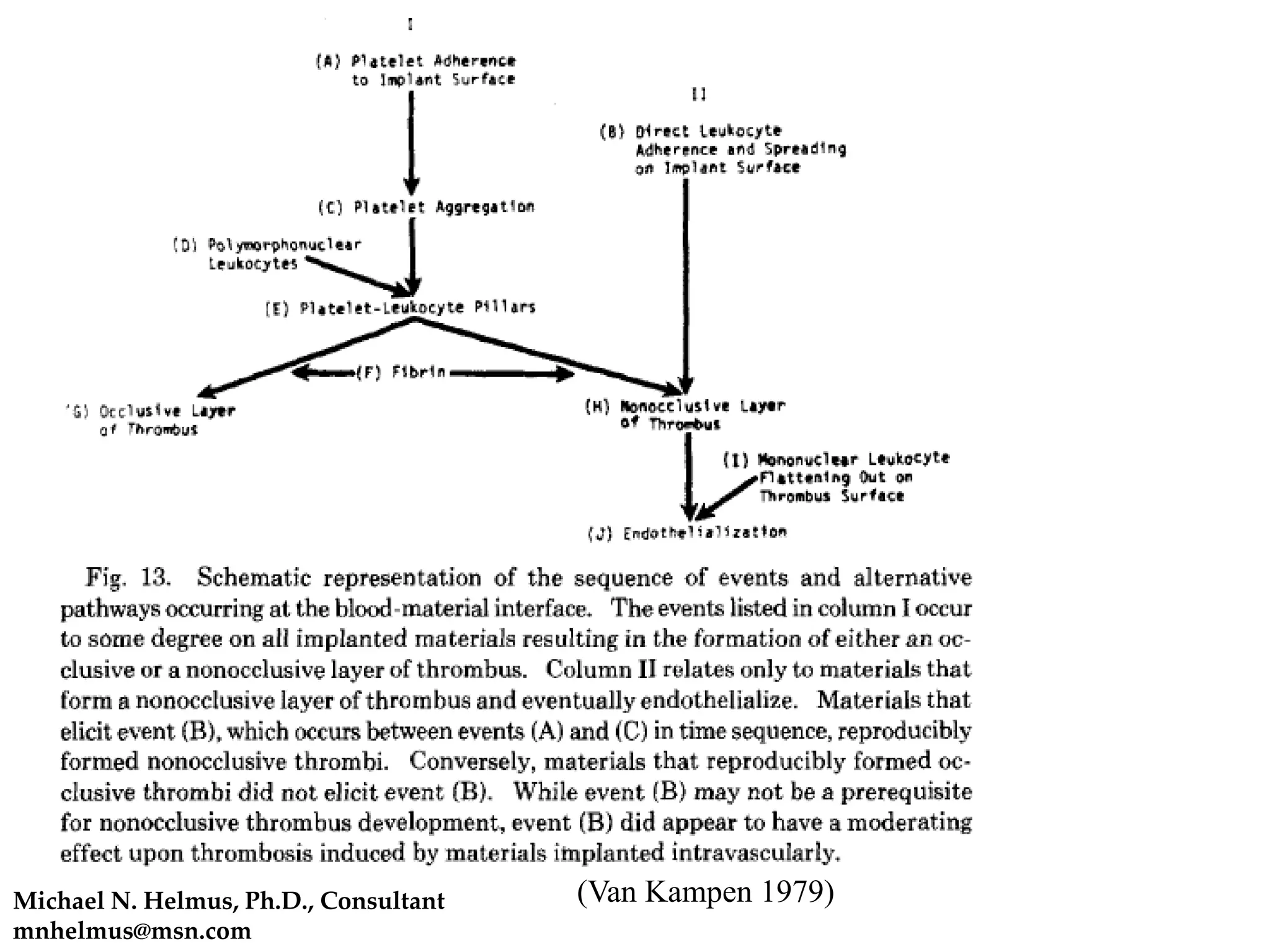 Biomaterials in the sustainability of regenerative medicine | PPT