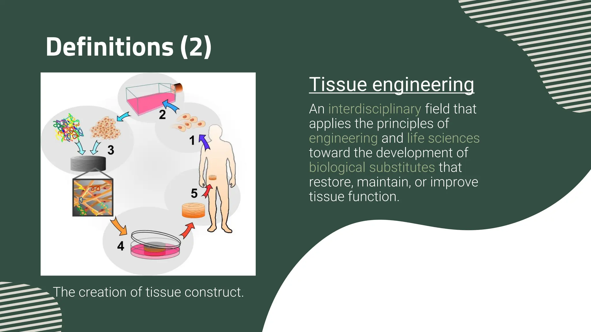 Biomaterials and their use in Tissue Engineering.pdf