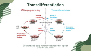 Biomaterials and their use in Tissue Engineering.pdf