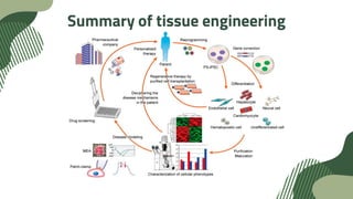 Biomaterials and their use in Tissue Engineering.pdf