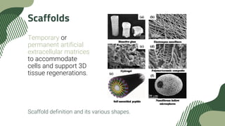 Biomaterials and their use in Tissue Engineering.pdf