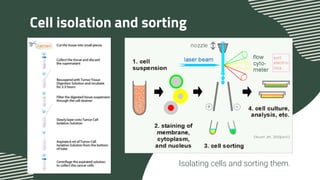 Biomaterials and their use in Tissue Engineering.pdf