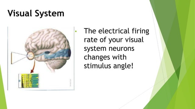 Biomathematics | PPTX