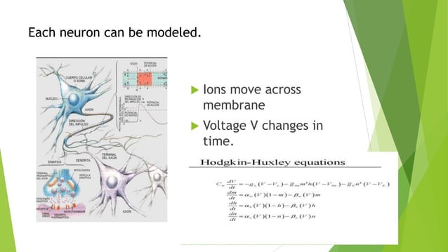 Biomathematics | PPTX