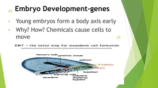 Biomathematics | PPTX