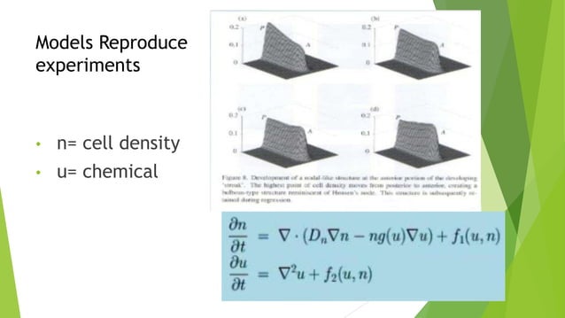 Biomathematics | PPTX
