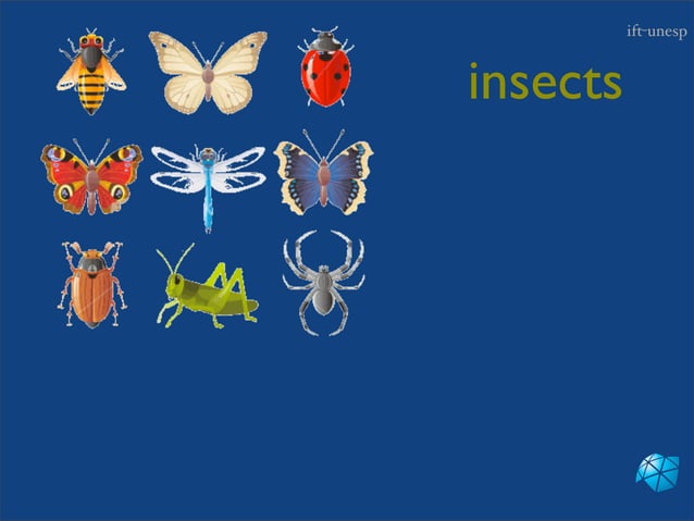 population dynamics of insects | PDF | Physics | Science
