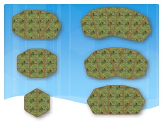 Biomatrix Floating Island Ecosystems - Islands Shapes 2016 | PPTX ...