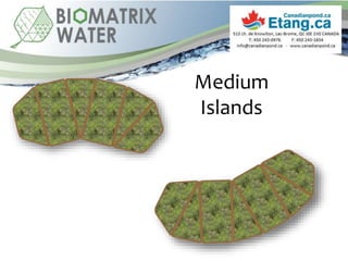 Biomatrix Floating Island Ecosystems - Islands Shapes 2016 | PPTX