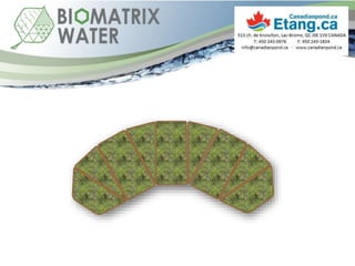 Biomatrix Floating Island Ecosystems - Islands Shapes 2016 | PPTX