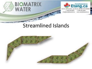 Biomatrix Floating Island Ecosystems - Islands Shapes 2016 | PPTX ...